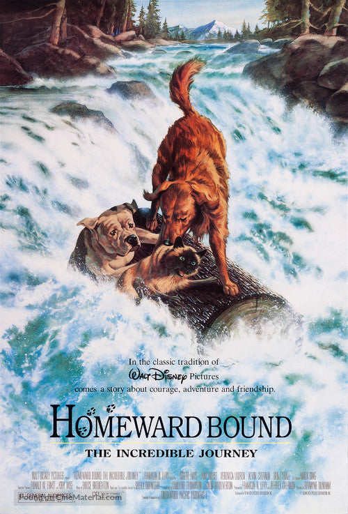 Homeward Bound: The Incredible Journey Cinema Movie Poster A2 Size ...