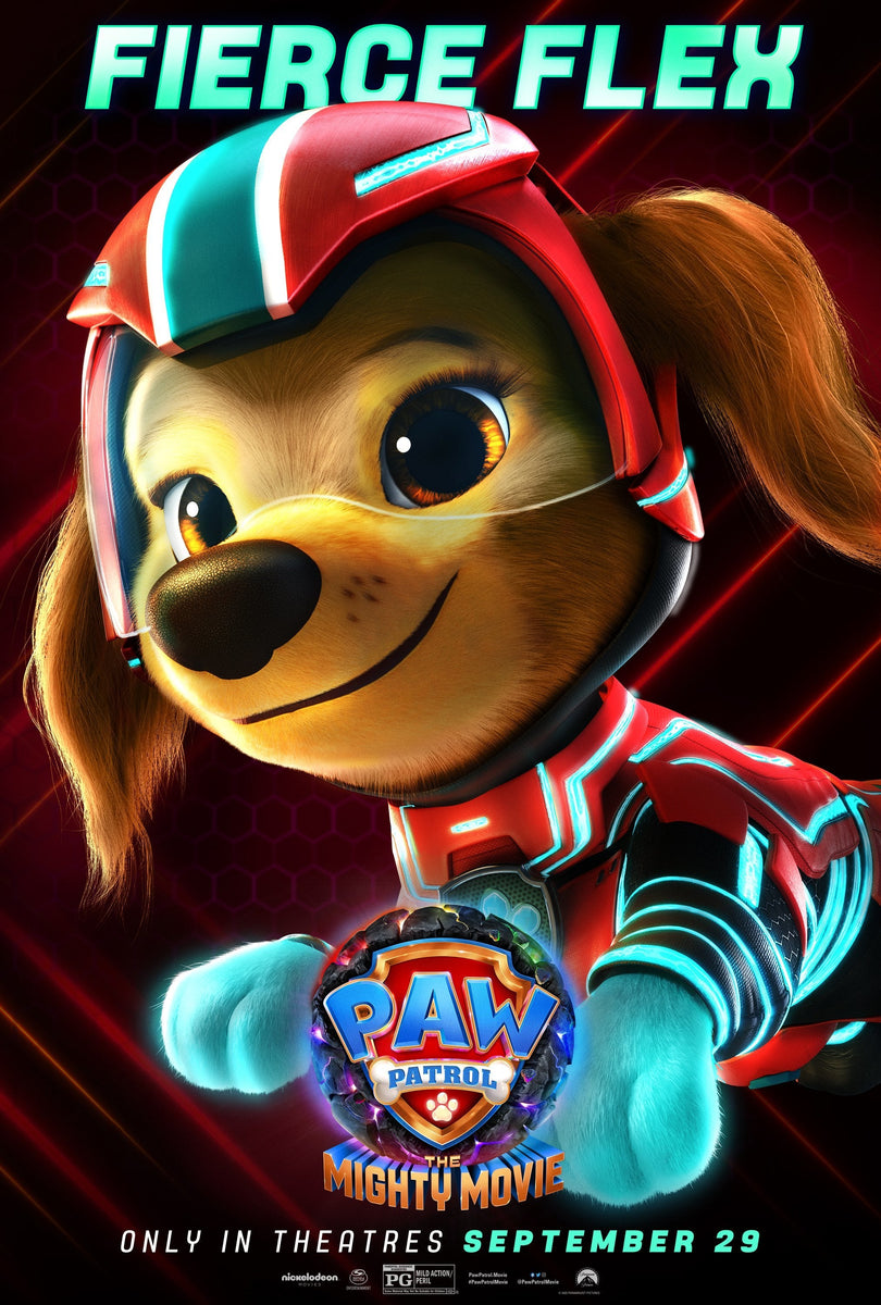 Premium Quality Paw Patrol Option 12 A2 Size Posters – Pixie Posters
